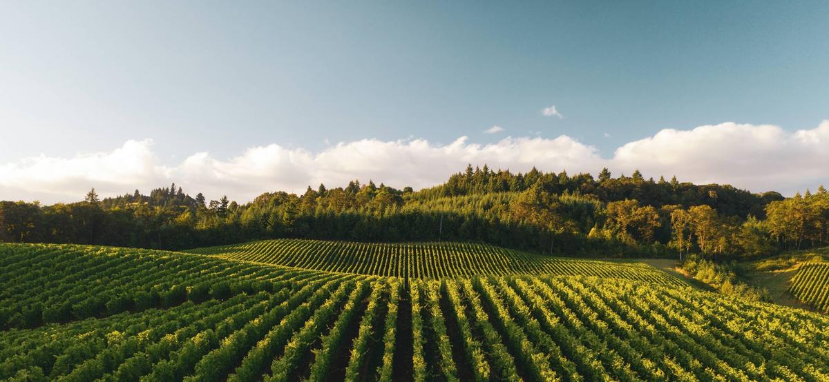 Homepage | SeasonalJobs.dol.gov