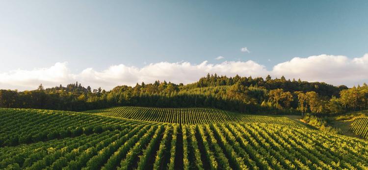 Homepage | SeasonalJobs.dol.gov